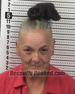 Recent Booking / Mugshot for JULIE ANN PORTER in Dona Ana County, New ...