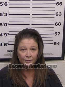 Recent Booking / Mugshot for MICHELLE WOOD in Eddy County, New Mexico