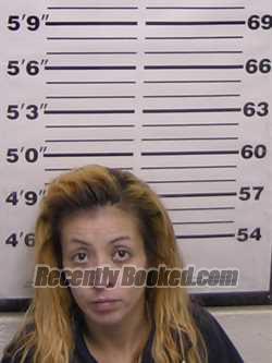 Recent Booking / Mugshot for STEPHANIE MAYFIELD in Eddy County, New Mexico