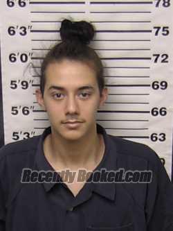 Recent Booking / Mugshot for NATHAN AARON LUNA- CARRASCO in Eddy County ...