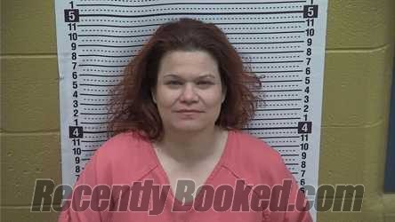 Recent Booking / Mugshot for ANGIE MERIE GIBBONS in Grant County, New ...