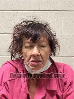 Recent Booking / Mugshot for BRENDA CALLAHAN in Grant County, New Mexico