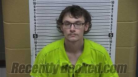 Recent Booking / Mugshot for Cameran Darnell in Grant County, New Mexico