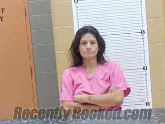 Recent Booking / Mugshot for LISA M MURILLO in Grant County, New Mexico
