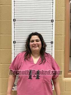 Recent Booking / Mugshot for MARYSSA GERARDO in Grant County, New Mexico