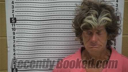 SHELLY HALEY Arrest Record & Booking Info – Grant County, New Mexico ...