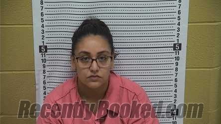Sarah Elizabeth Portillo Arrest & Booking Info | Grant County, NM