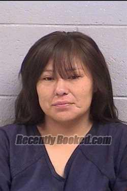 Recent Booking / Mugshot for Patrina Rose Brown in San Juan County, New ...