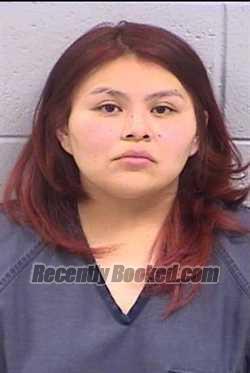 Recent Booking / Mugshot for Shana Lee John in San Juan County, New Mexico