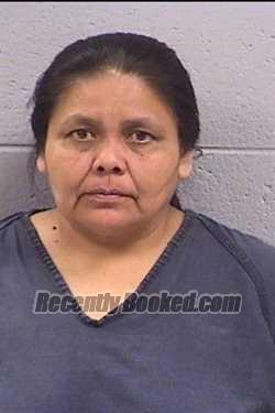 Recent Booking / Mugshot for Rebecca Ann Johnson in San Juan County ...
