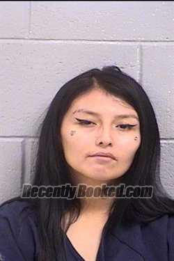 Recent Booking / Mugshot for Tris Ann Begay in San Juan County, New Mexico