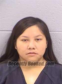 Recent Booking / Mugshot for Nicole Posey in San Juan County, New Mexico