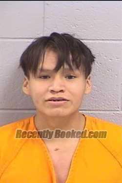 Recent Booking / Mugshot for Atticus Johnson in San Juan County, New Mexico