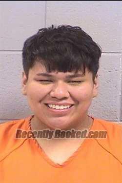 Recent Booking / Mugshot for Terrill Ron Benally in San Juan County ...