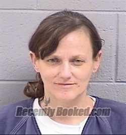 Recent Booking / Mugshot for Amanda Lynne Belcher in San Juan County ...