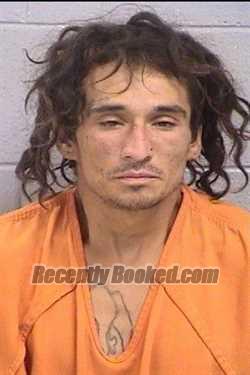 Recent Booking / Mugshot for Anthony Lee Carney in San Juan County, New ...