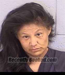 Recent Booking / Mugshot for Shawna Lou Frazier in San Juan County, New ...
