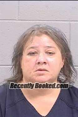 Recent Booking / Mugshot for Michelle Lynn Noble in San Juan County ...