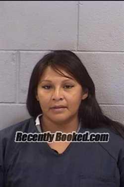 Recent Booking / Mugshot for Rochelle Ashley Anderson in San Juan ...