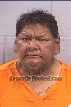 Recent Booking / Mugshot for Ronald Hanley in San Juan County, New Mexico