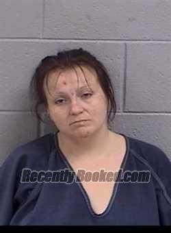 Recent Booking / Mugshot for Kayla Nicole Polk in San Juan County, New ...