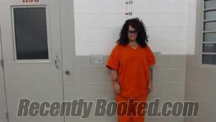 Recent Booking / Mugshot for OLIVIA ULIBARRI in San Miguel County, New ...