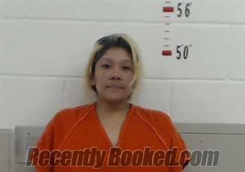 Recent Booking / Mugshot for RAQUEL MEJIA in San Miguel County, New Mexico