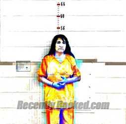 Recent Booking / Mugshot for MARY JANE LUJAN in San Miguel County, New ...