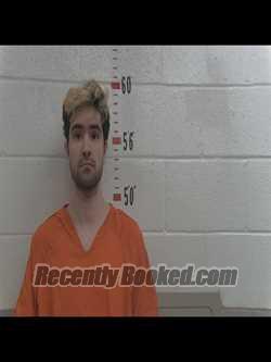 Recent Booking / Mugshot for SOLIZ RAEL in San Miguel County, New Mexico