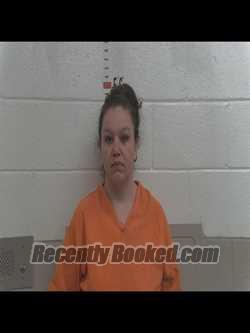 Recent Booking / Mugshot for AMANDA EVANS in San Miguel County, New Mexico
