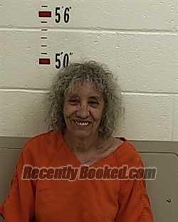 RUBY M ARAGON Arrest Record & Booking Info – San Miguel County, New ...