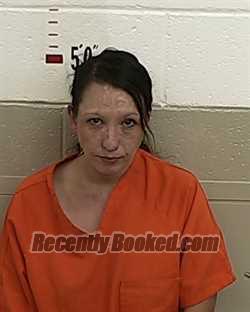 Recent Booking / Mugshot for RAVEN A ROMERO in San Miguel County, New ...