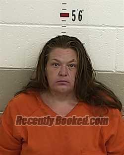 Recent Booking / Mugshot for NICOLE VALENCIA in San Miguel County, New ...