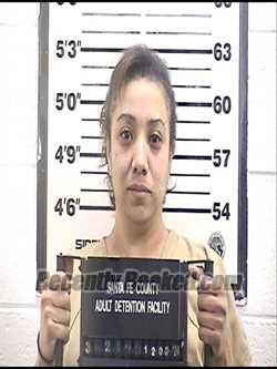 Recent Booking / Mugshot for PAMELA NICOLE LERMA in Santa Fe County ...
