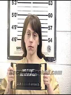 Recent Booking / Mugshot for SARAH RITA BARELA DEJESUS in Santa Fe ...
