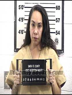 Recent Booking / Mugshot for YOLANDA LOUISA CASTILLO in Santa Fe County ...