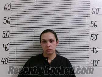 Recent Booking / Mugshot for Amanda Amelia Castillo in Socorro County ...