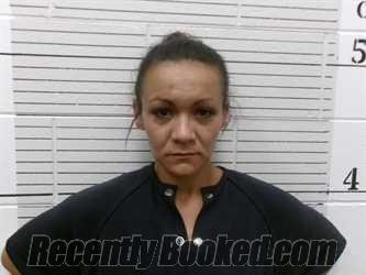Recent Booking / Mugshot for Danielle J Sedillo in Socorro County, New ...
