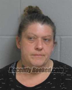 Recent Booking / Mugshot for CHRISTINA WEED in Allegany County, New York