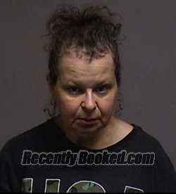 Recent Booking / Mugshot for Deborah Ann Phillips in Broome County, New ...
