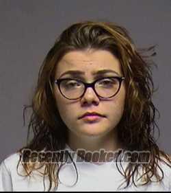 Recent Booking / Mugshot for Abigail Ann Marie Galusha in Broome County ...