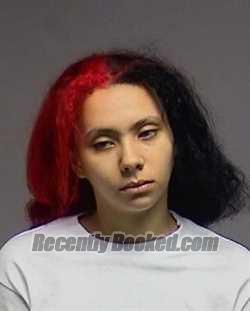 Recent Booking / Mugshot for PHYLLIS E BURNS in Broome County, New York