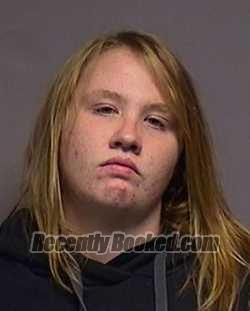 Recent Booking / Mugshot for Laura Lou Dickerson in Broome County, New York