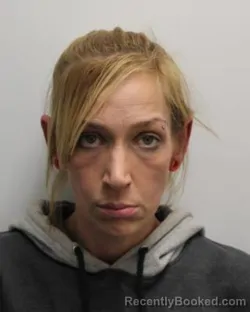 MARLEA L REDDER Arrest Record & Booking Info – Chemung County, New York ...
