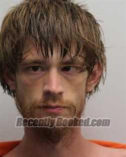 Recent Booking / Mugshot for SHANNON S MATTISON in Chemung County, New York