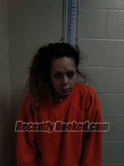 JESSICA NICOLE MACUMBER Arrest Record & Booking Info – Chenango County ...