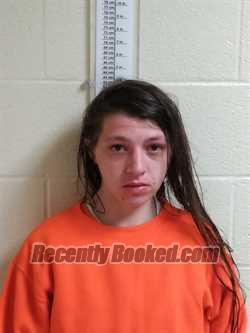DANIELLE ALEXIS FROELICH Arrest Record & Booking Info – Chenango County ...