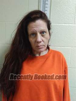 Recent Booking / Mugshot for NATASHA COLLEEN MEEKS in Chenango County ...