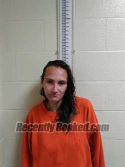 Recent Booking / Mugshot for JENNIFER MARIE MINER in Chenango County ...