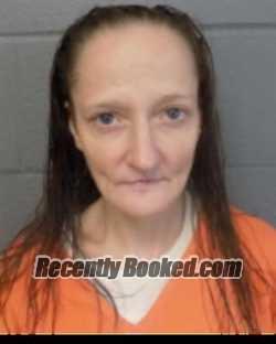 Recent Booking / Mugshot for AMY R GANCIO in Delaware County, New York